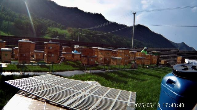 2025_0518_173541_067