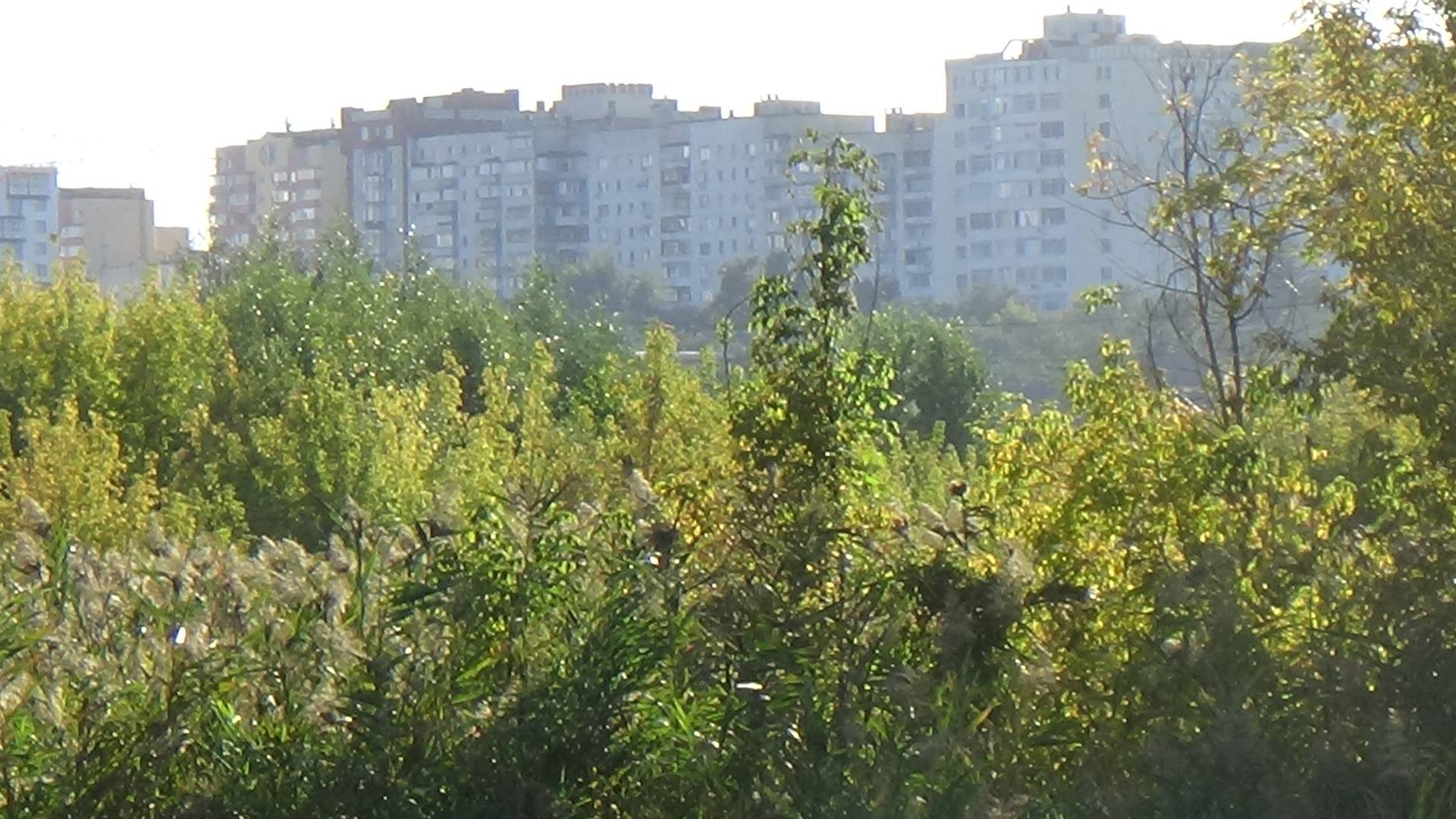 реки белгорода река северский донец в белгороде
