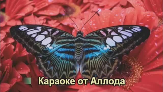 I Will ( Я буду). Пол Маккартни и The Beatles. ( The Beatles, 1968 г.)