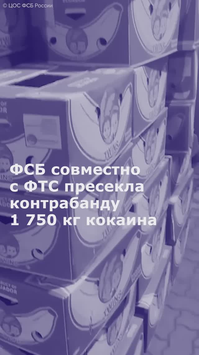 ФСБ совместно с ФТС пресекла контрабанду 1 750 кг кокаина