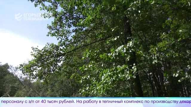 Новый выпуск программы "Егорьевск сегодня" от 19.09.25