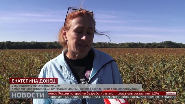 По китайскому стандарту: проверка сои. Новости. 19/09/2025. GuberniaTV