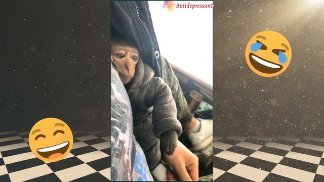 Я РЖАЛ ДО СЛЕЗ 😂 ОТБОРНЫе ПРИКОЛы, Смешные видео - Лучшие ПРИКОЛЫ #12