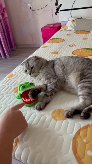 Кусь!)