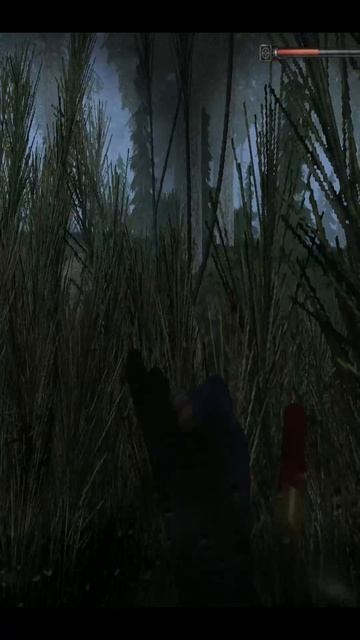 S.T.A.L.K.E.R.S.K.O.E ЧУТЬЕ