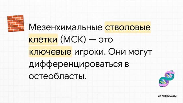 Революция в заживлении костей: сфероиды и органоиды. Роль 3D-моделей