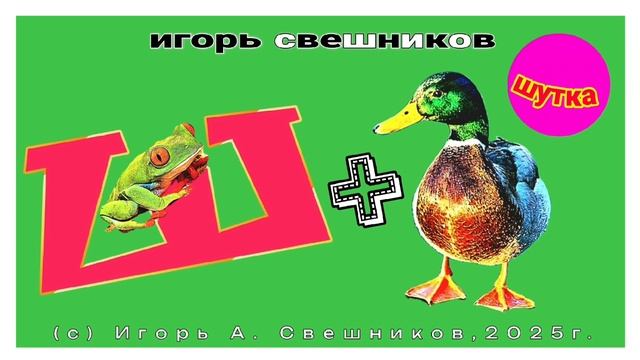 Игорь Свешников - Шутка
