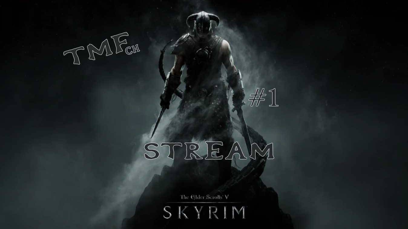 Skyrim . Бродим-ходим и болтаем #1
