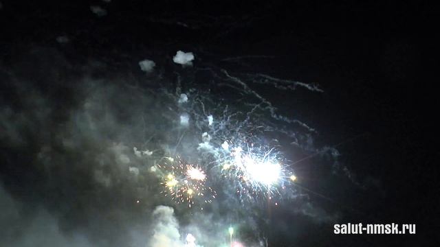 Тульская область, Донской. День города 2019