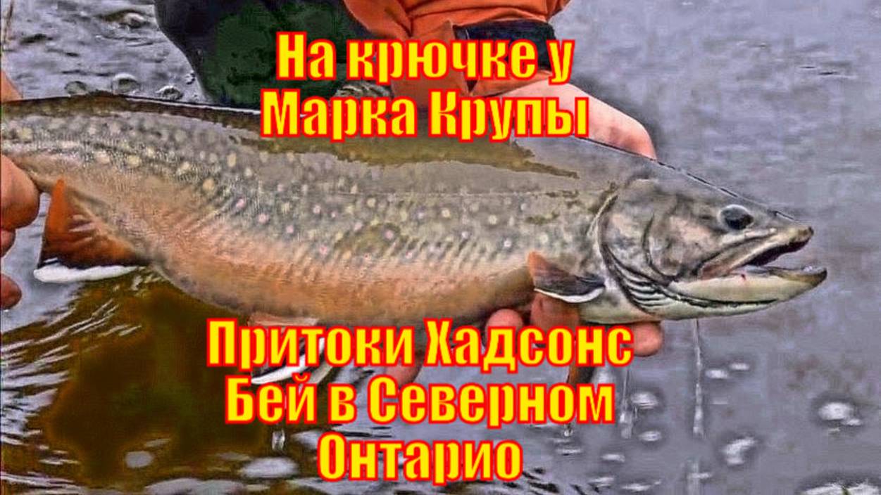 На крючке у Марка Крупы - Притоки Хадсонс Бей в Северном Онтарио