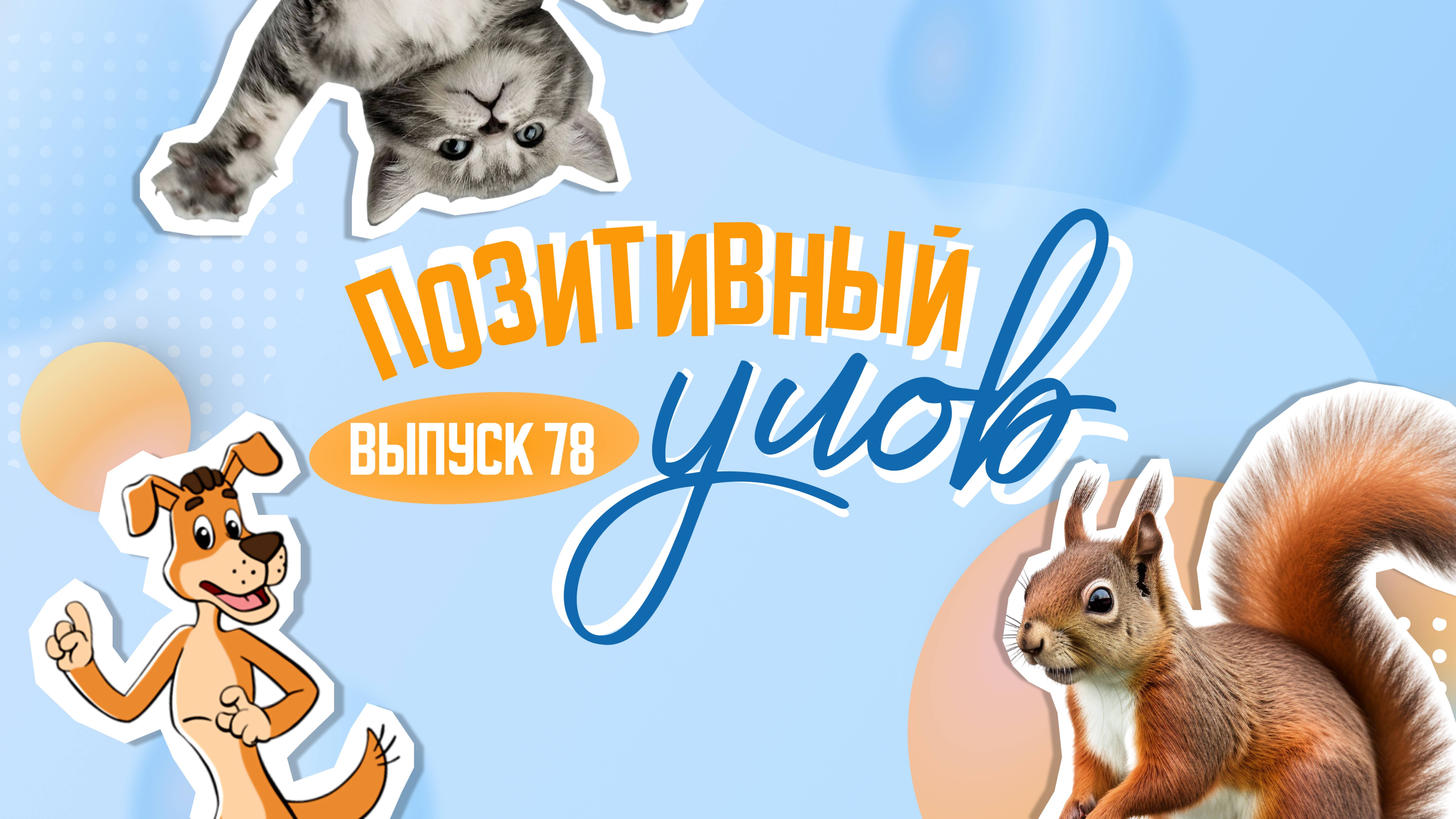 Уникальная способность белок и странный рецепт кофе. "Позитивный улов"