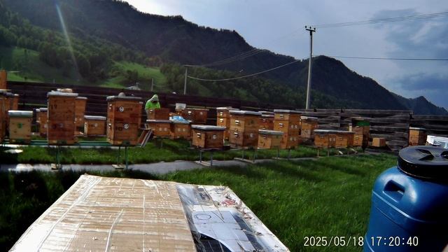 2025_0518_171541_065