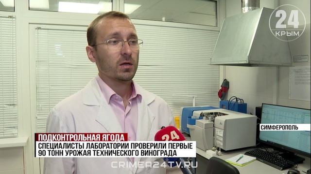 Крымский виноград проходит лабораторный контроль