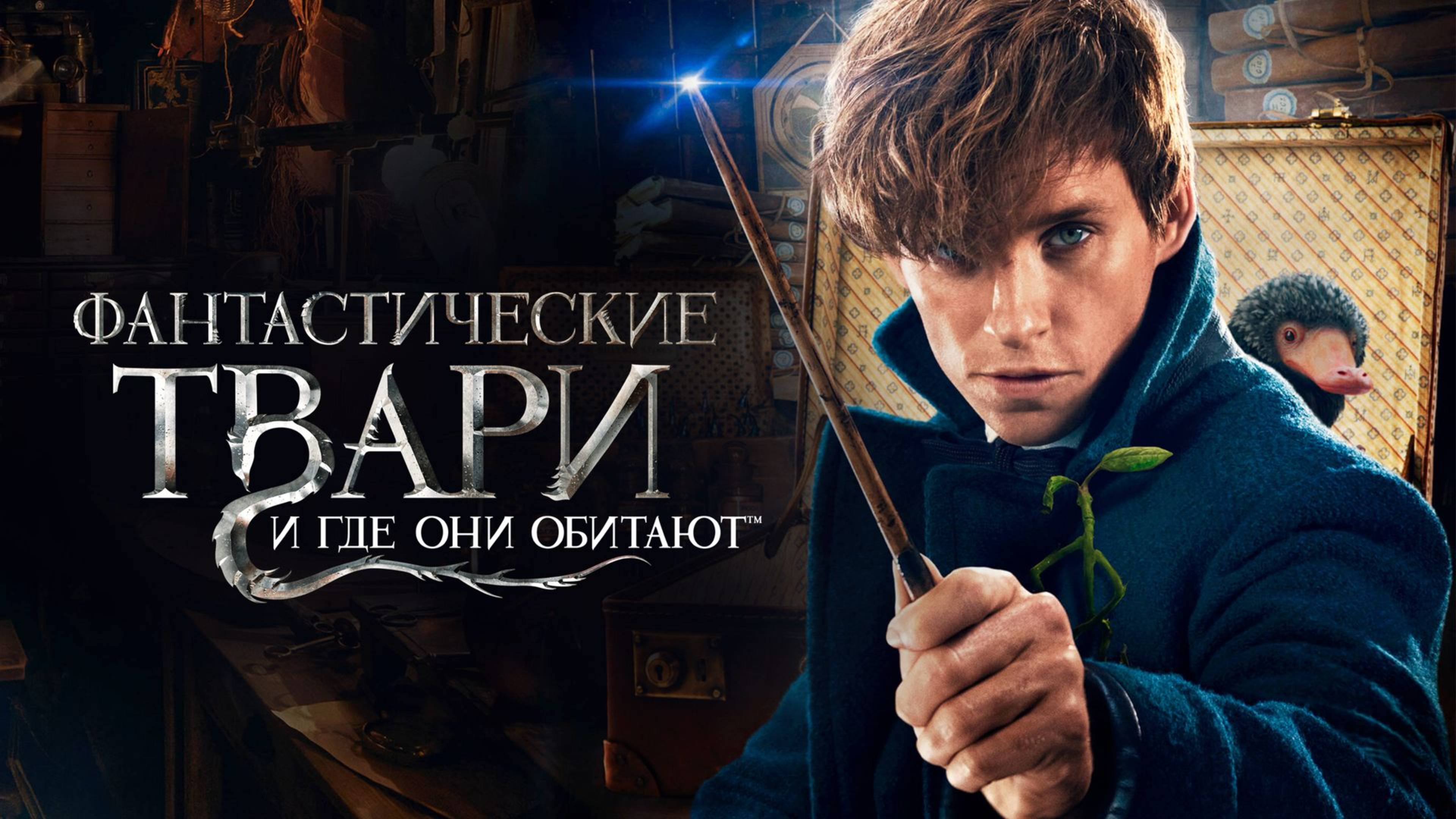 Фантастические твари и где они обитают / Fantastic Beasts and Where to Find Them (2016)