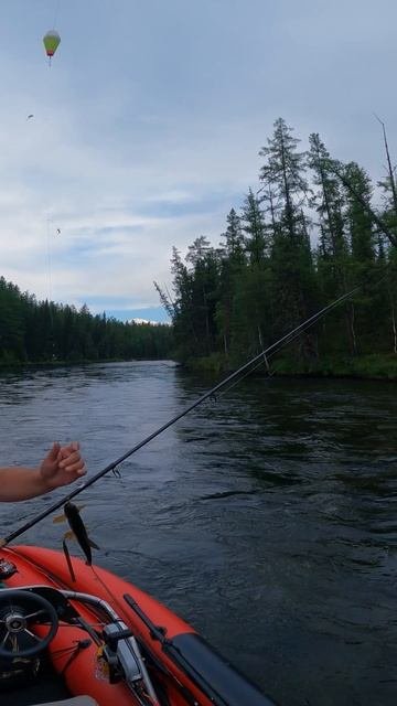 Серёга, с тебя 1000 мух за рекламу.