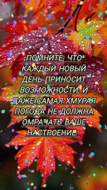 Видеооткрытка с цитатами