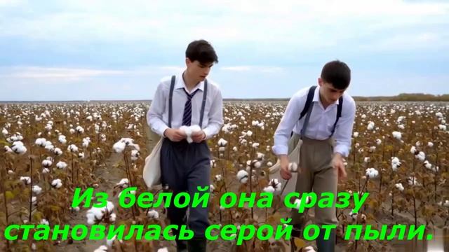 Студенты на сборе хлопка УзССР 70-е годы (Обработка нейросетей)