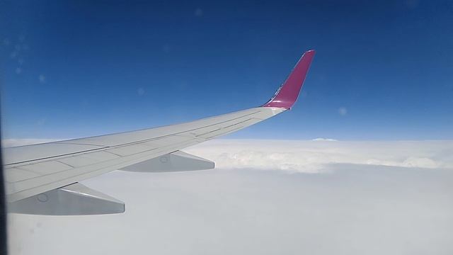 VID_20230711_161531