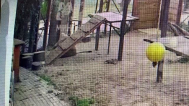 Шархан Спокойной ночи 19.09.2025