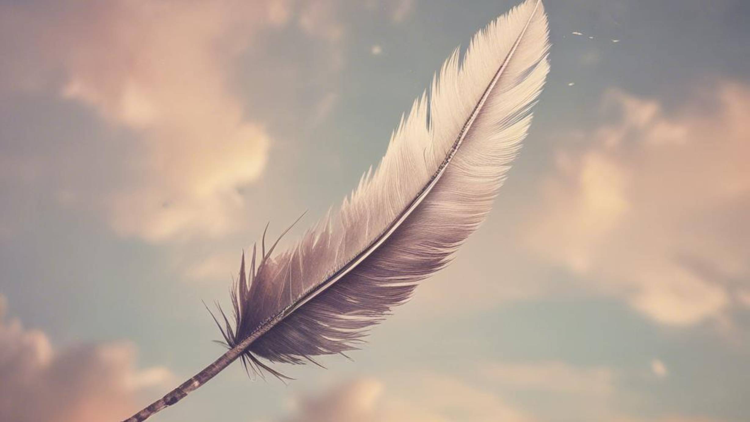 Знаем друг друга V4_0006