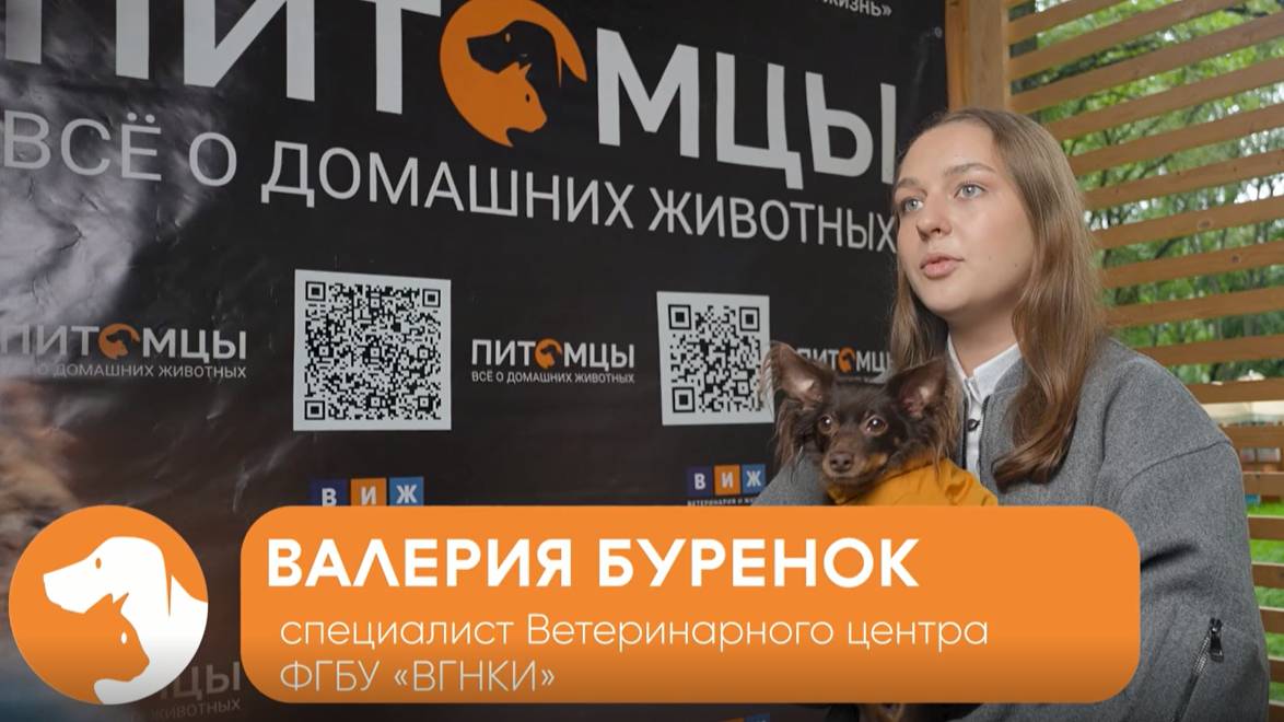 Специалист Ветеринарного центра ФГБУ «ВГНКИ» рассказала о подготовке к путешествию с питомцем