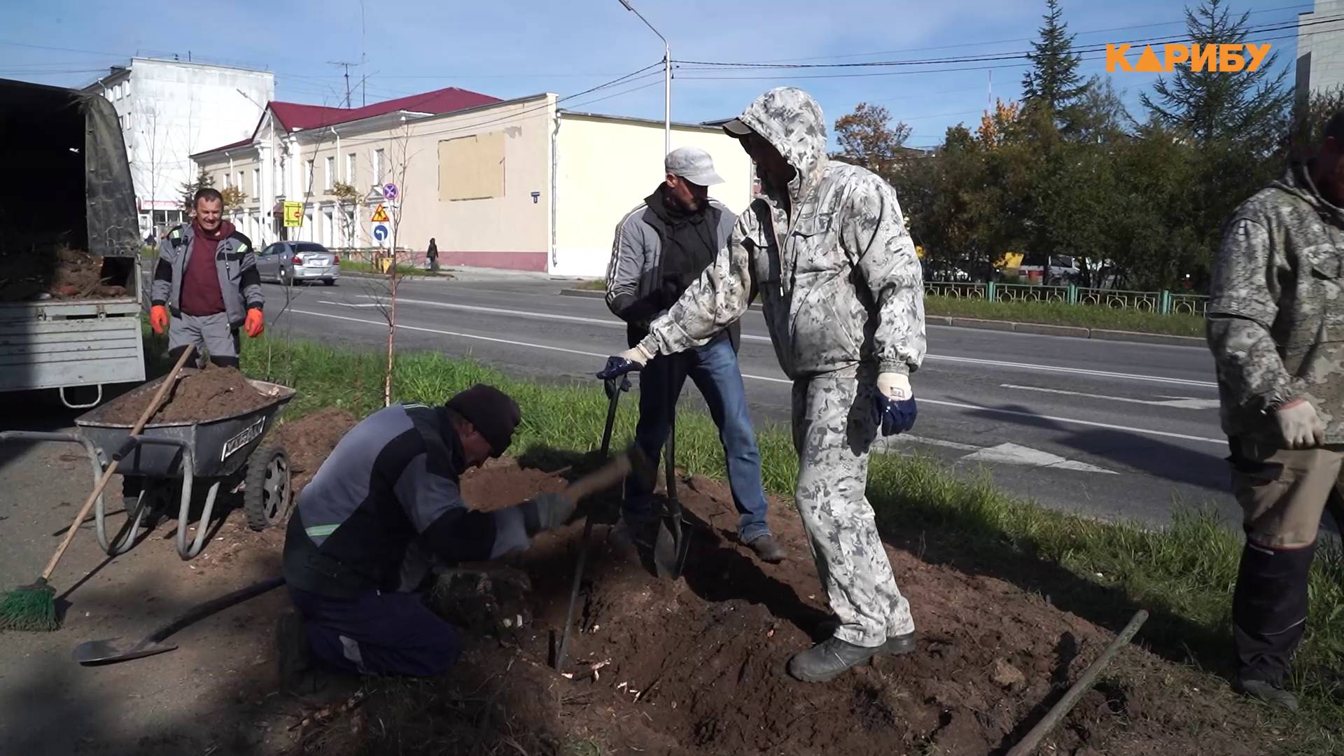 Озеленение Магадана: сотрудники КЗХ высаживают деревья и кустарники