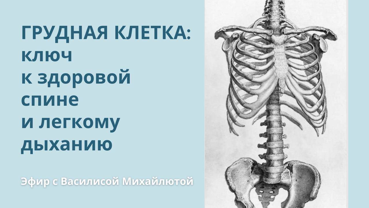 Грудная клетка - ключ к здоровой спине и лёгкому дыханию