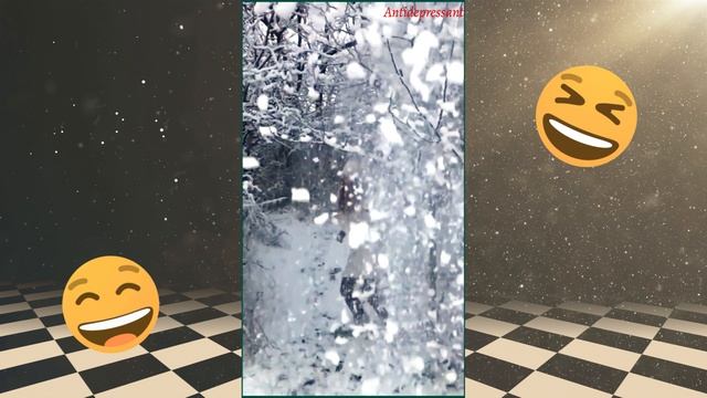 Я РЖАЛ ДО СЛЕЗ 😂 ОТБОРНЫе ПРИКОЛы, Смешные видео - Лучшие ПРИКОЛЫ #16