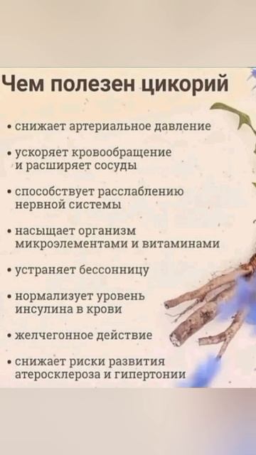 Здоровья