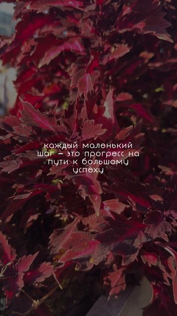Сколько сил уходит на хаос и сомнения?
