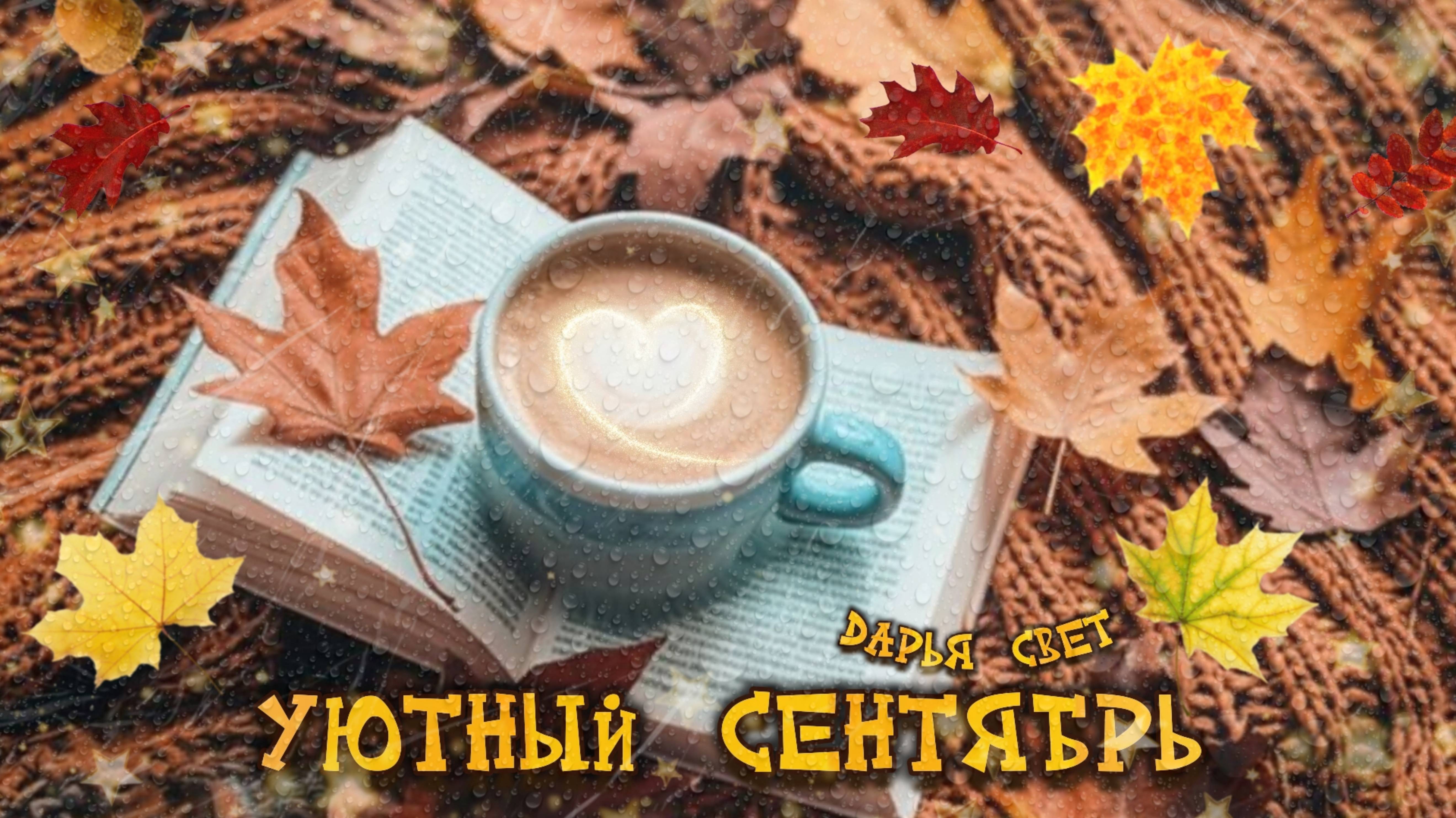 Парк Свибловские пруды. Лазоревые пруды. Водяные лилии. Кувшинки. Нимфеи. Сентябрь 2025