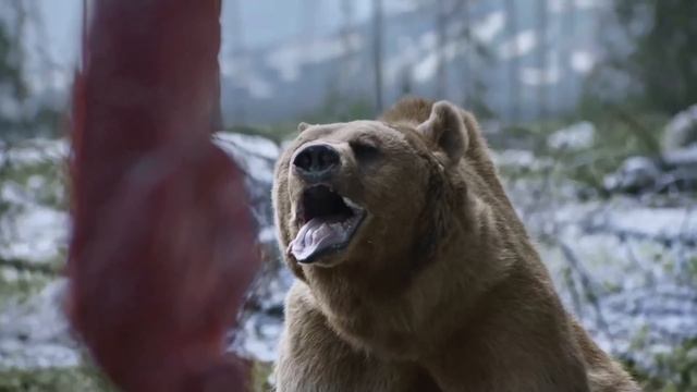 Рекламный ролик Doshirak Медведь (2)