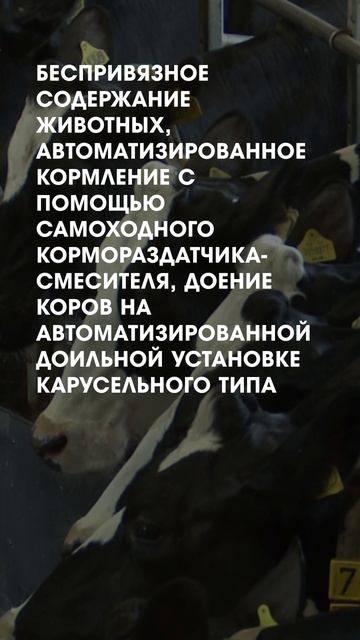 Будущих аграриев начнут готовить в Озёрах