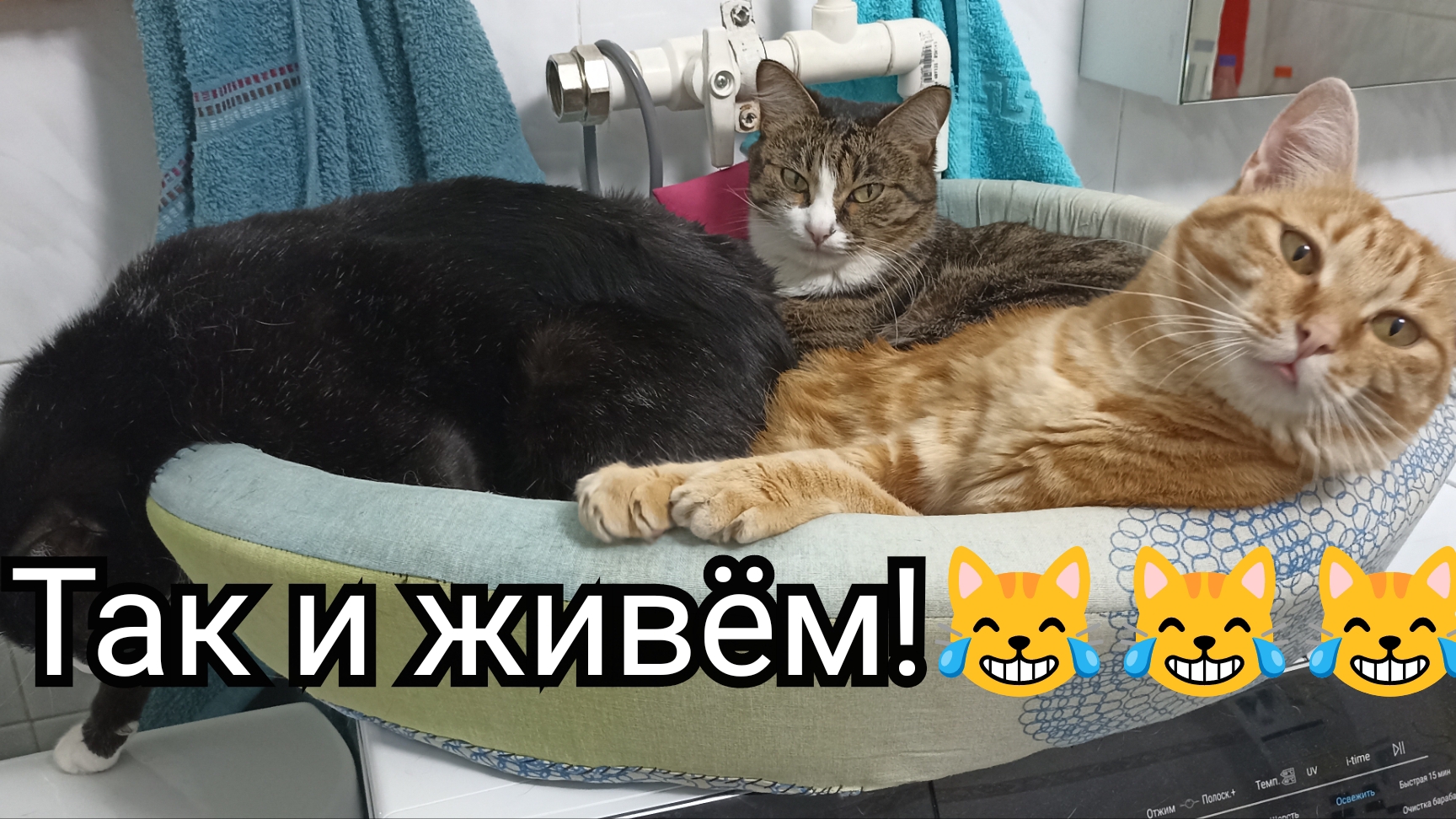 Так и живём!