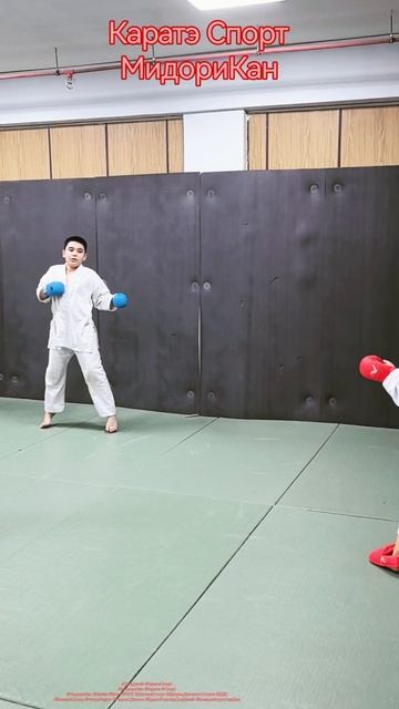 Training in Sports Karate