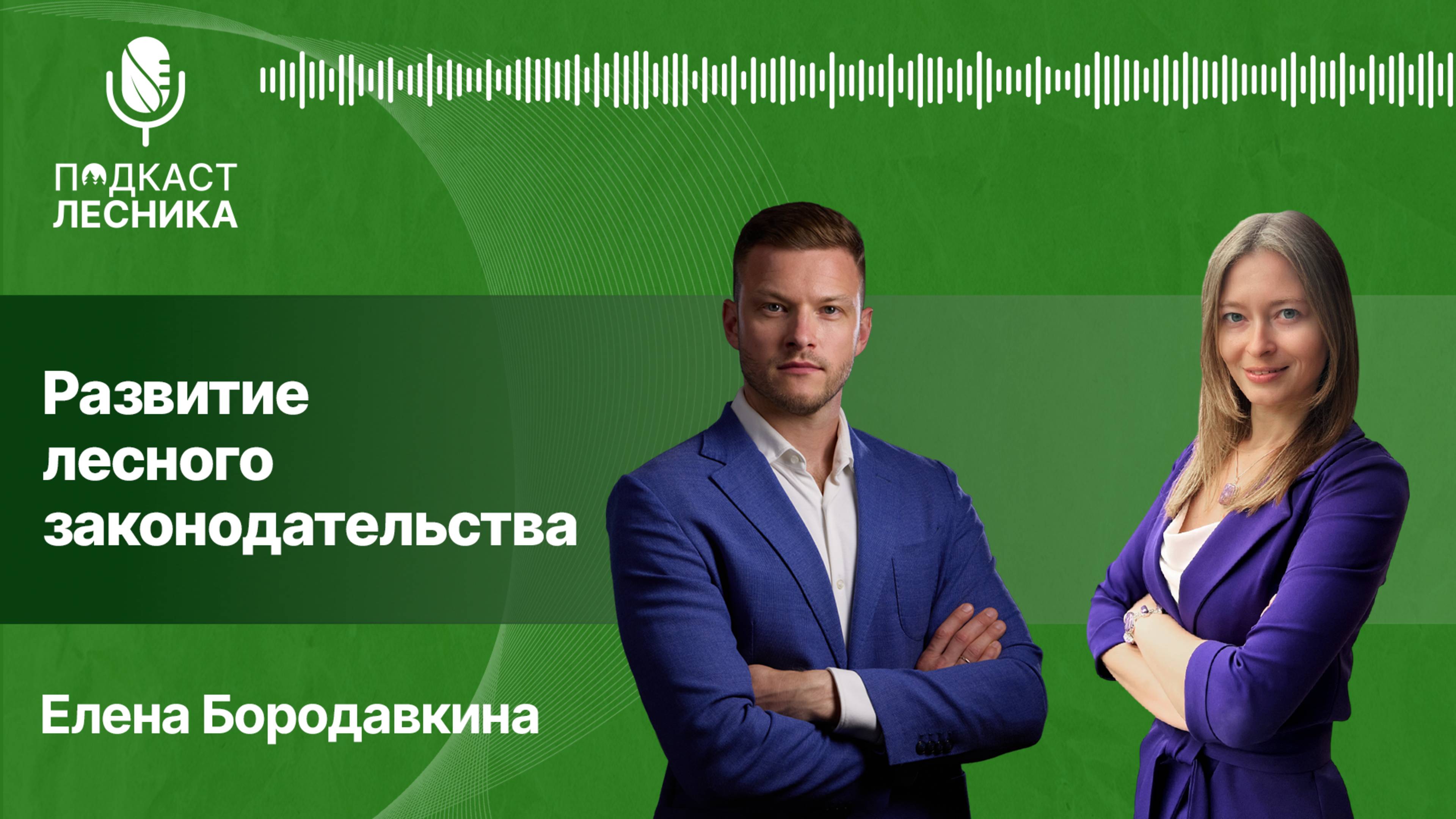 Елена Бородавкина. Развитие лесного законодательства