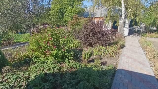 Второе видео после 10 дней работы мастера , участок преображается на глазах .