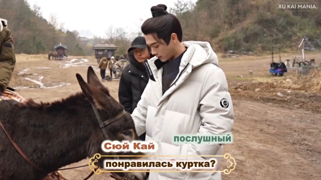 закадровые 🌖🐈🎬