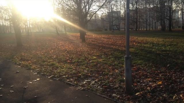 Встреча_ автор и исполнитель_ Олег Сапегин