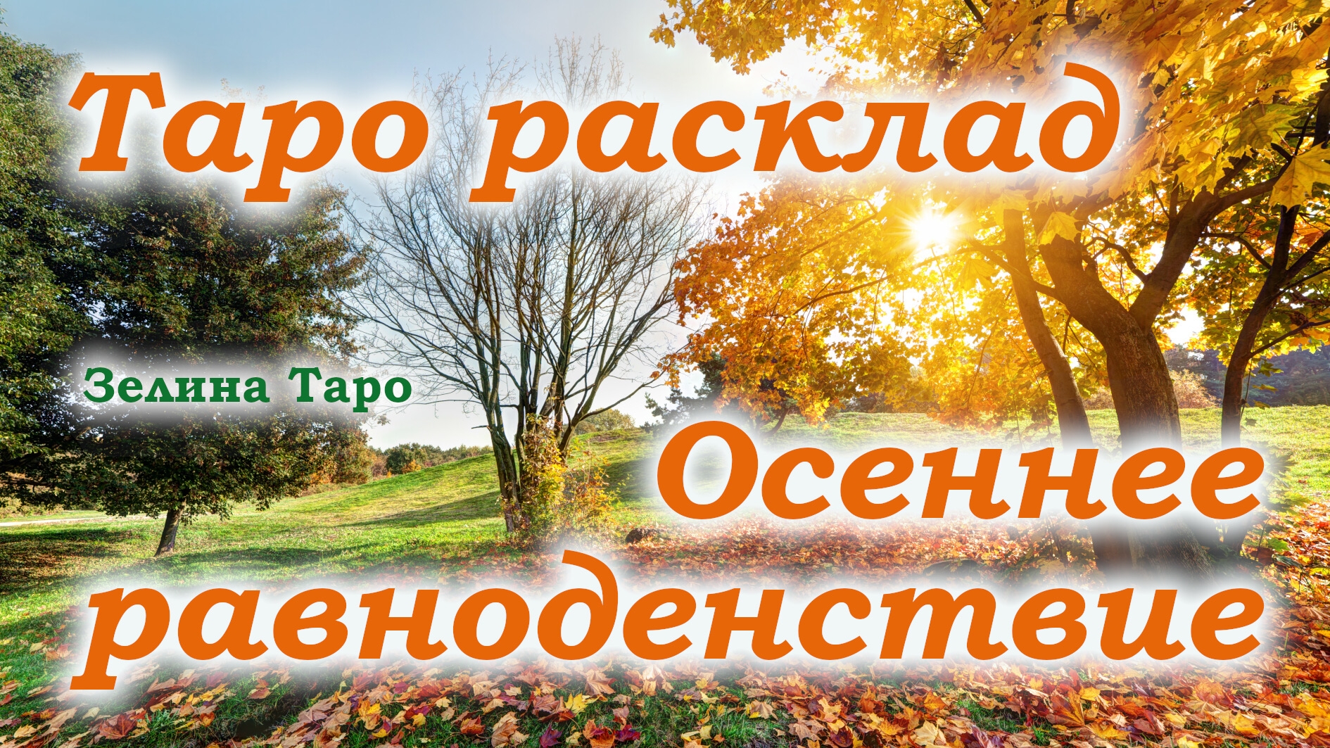 ✨ ОСЕННЕЕ РАВНОДЕНСТВИЕ | МАБОН |  ТАРО расклад по вариантам