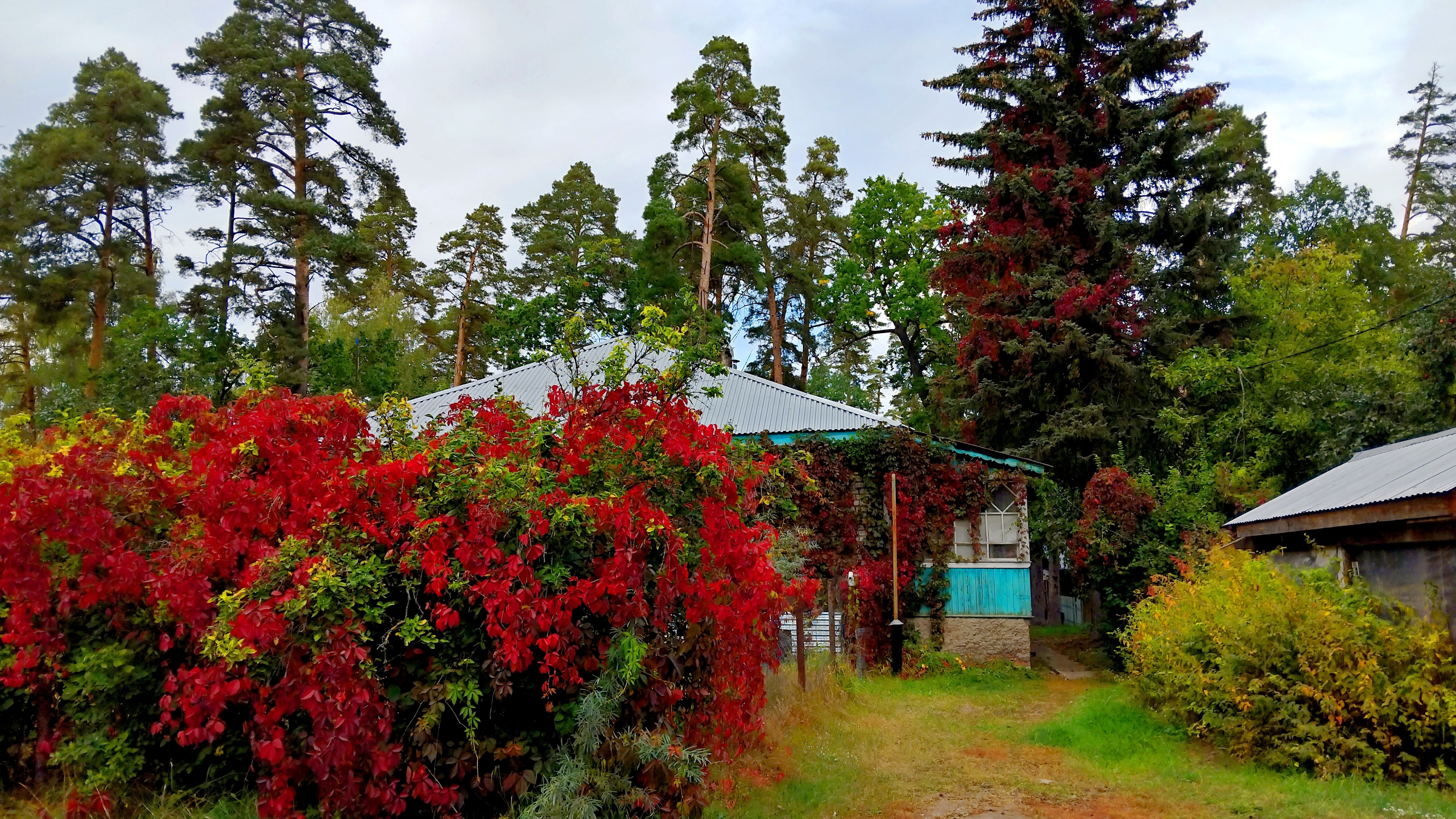 КРАСКИ ОСЕНИ