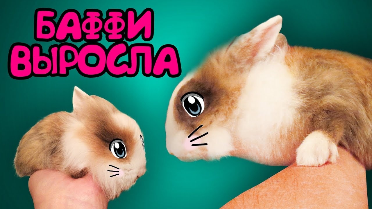 БАФФИ ВЫРОСЛА [2018]