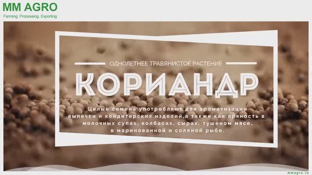 MM AGRO кориандр