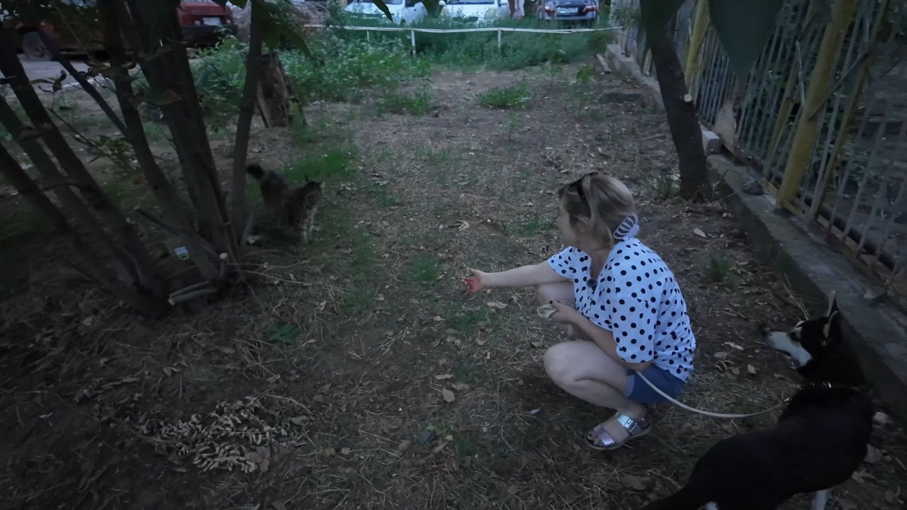 Прогулка с Басей -Ритой. Смелые кошки. Часть 3-я. 22.08.2025. Sony X3000.