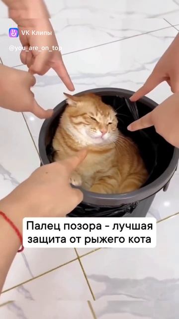 Указующие персты