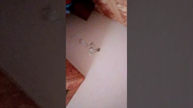 подпишись