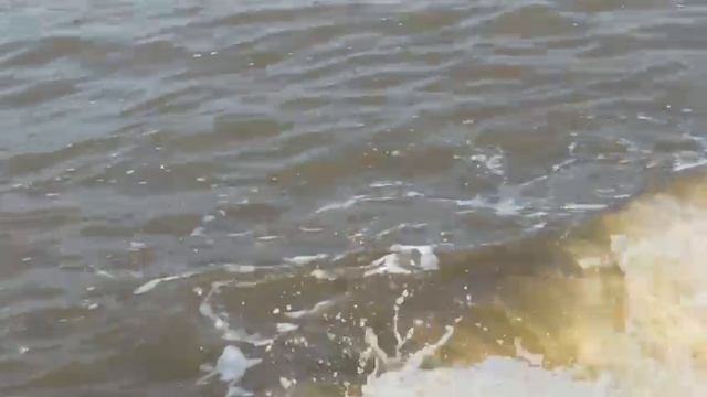 Где можно покататься на водном мотоцикле в Голубицкой