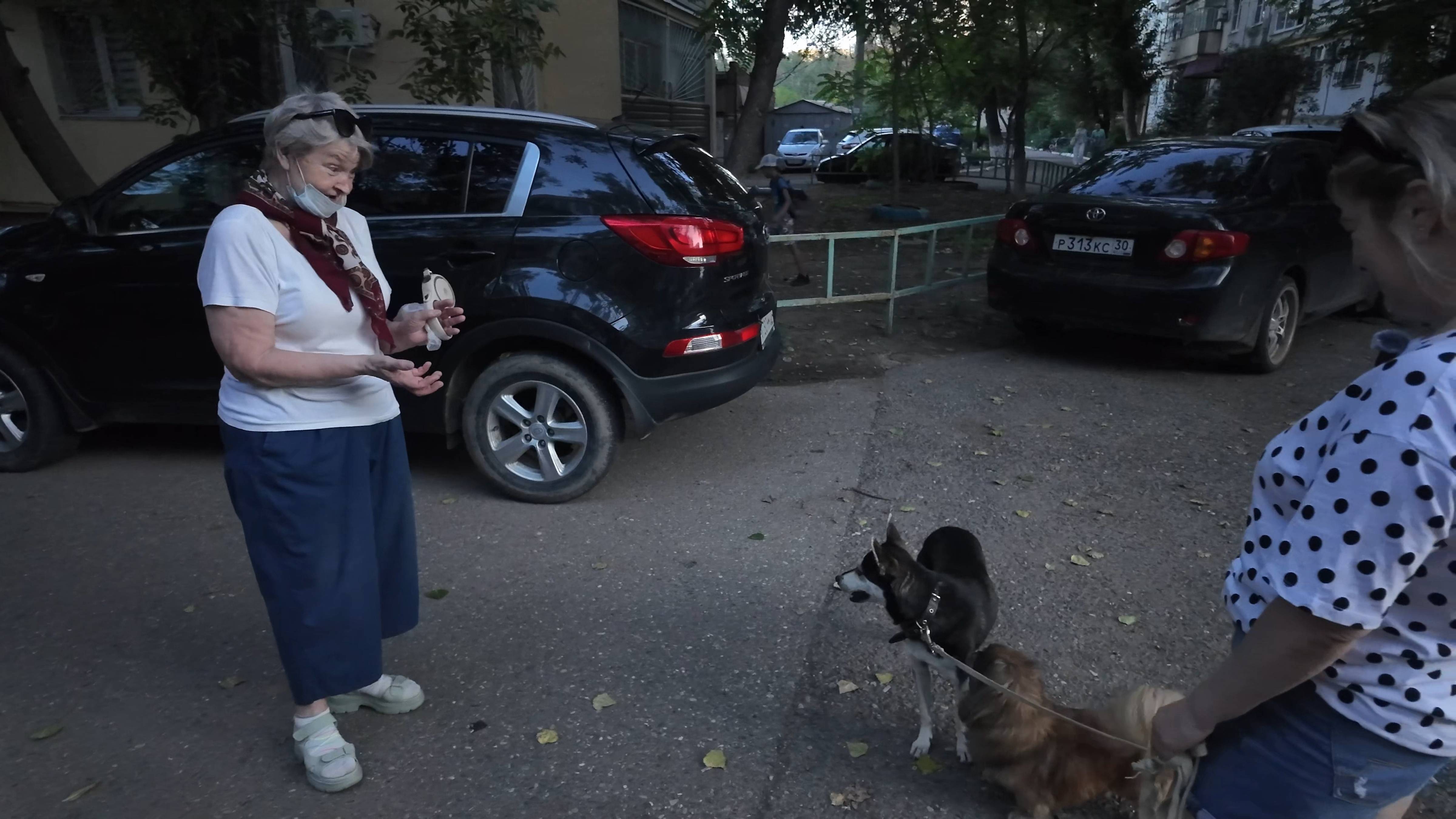 Прогулка с Басей -Ритой. Смелые кошки. Часть 3-я. 22.08.2025. DJI Pocket 3.