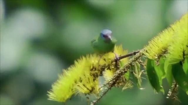 здесь моя душа излечится