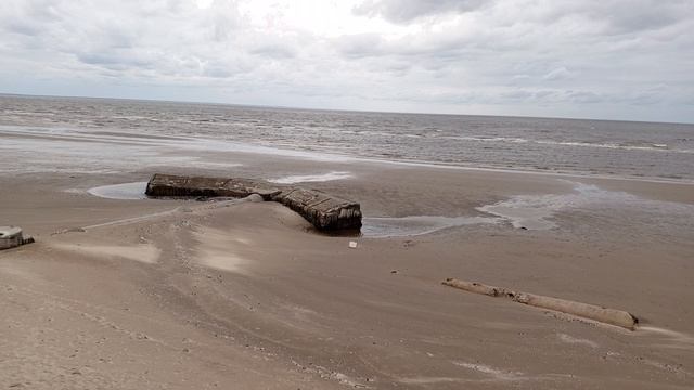 VID_20230920_130632